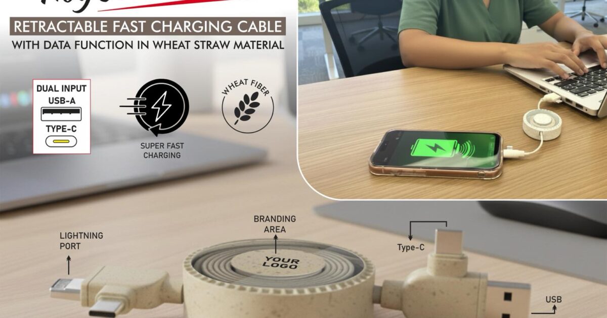 TidyCord Pure: Retractable Fast Charging cable with Data function in ...